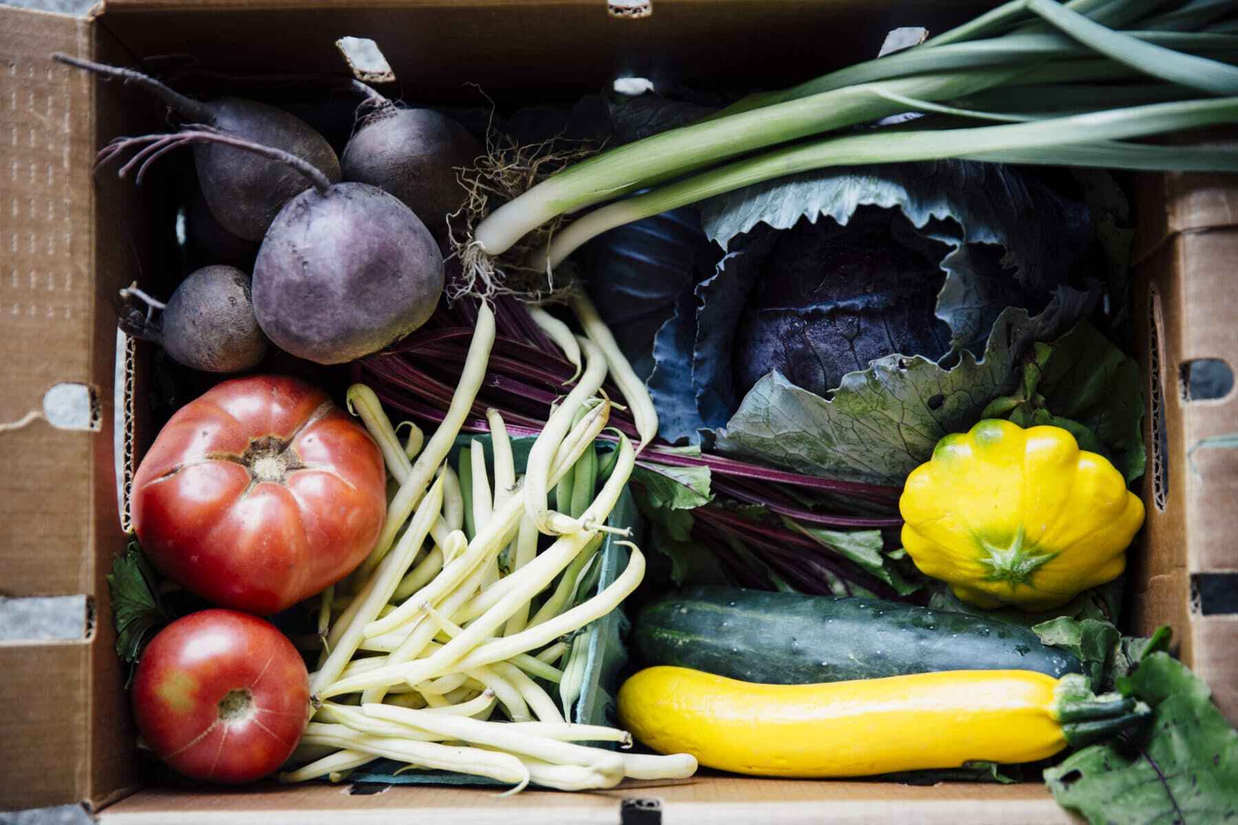 20-Week CSA Vegetable Share + Bonus Produce Box - Enchanted Garden Gala